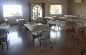 Home - Center for Traditional Osteopathy